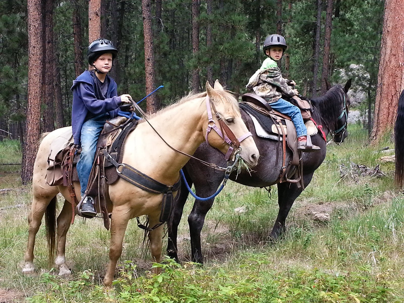 Rockin R Trail Rides - Holy Smoke Resort